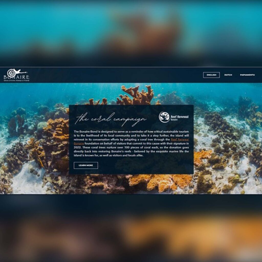 Bonaire to Adopt Coral on behalf of Eco-Conscious Visitors that Sign ...